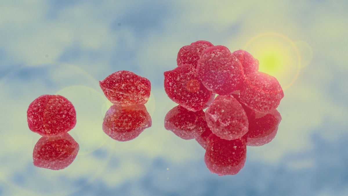 Choosing the Perfect Eye Gummies: A Buyer's Guide for Enhanced Vision ...